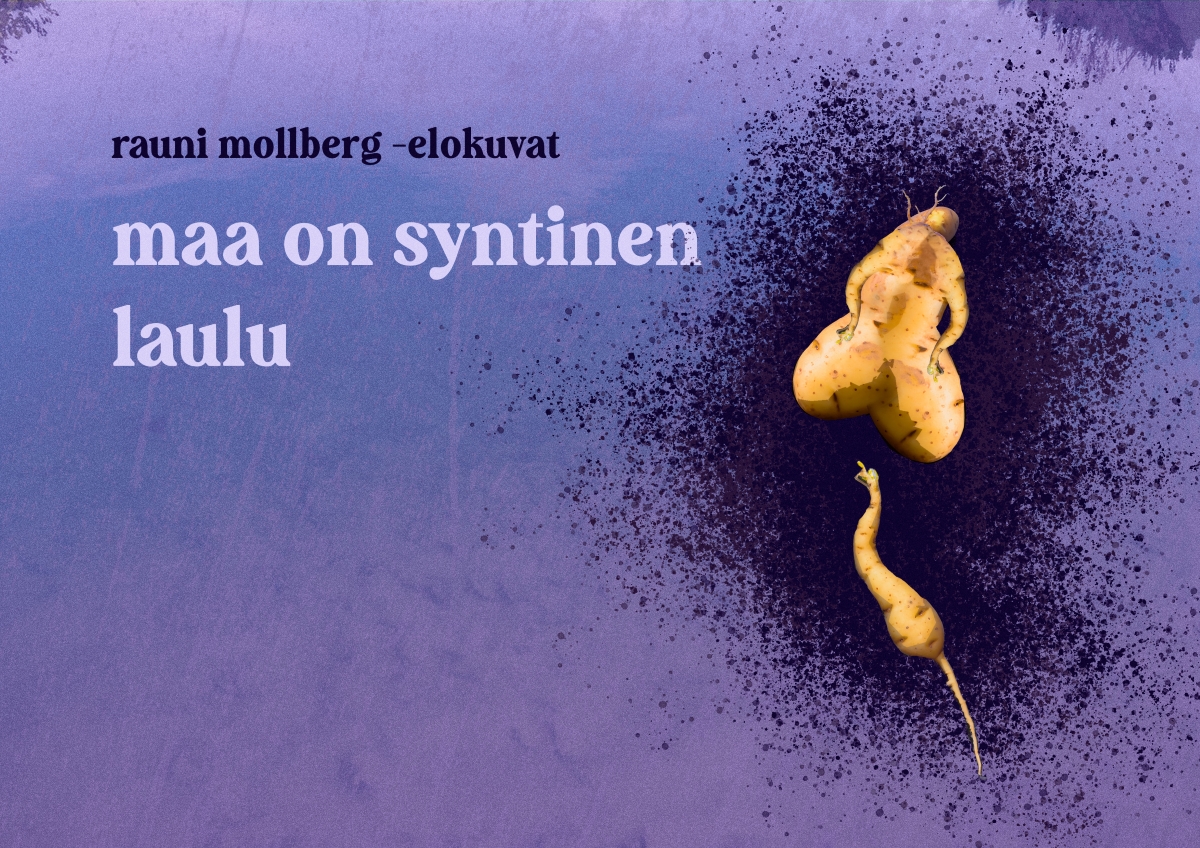 Maa on syntinen laulu (1973) - Naturalismin ja dokumentaarisen realismin monumentti - Kulttuurimedia